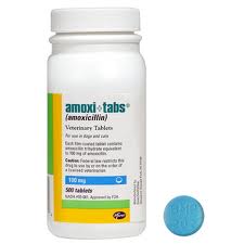 Amoxicillin Antibiotic without Vet Prescription